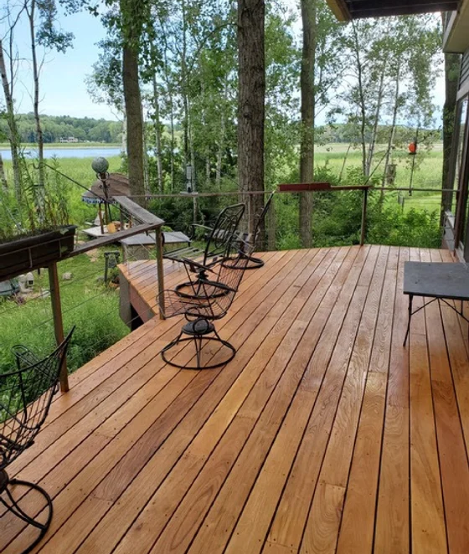 Black Locust — Propagate