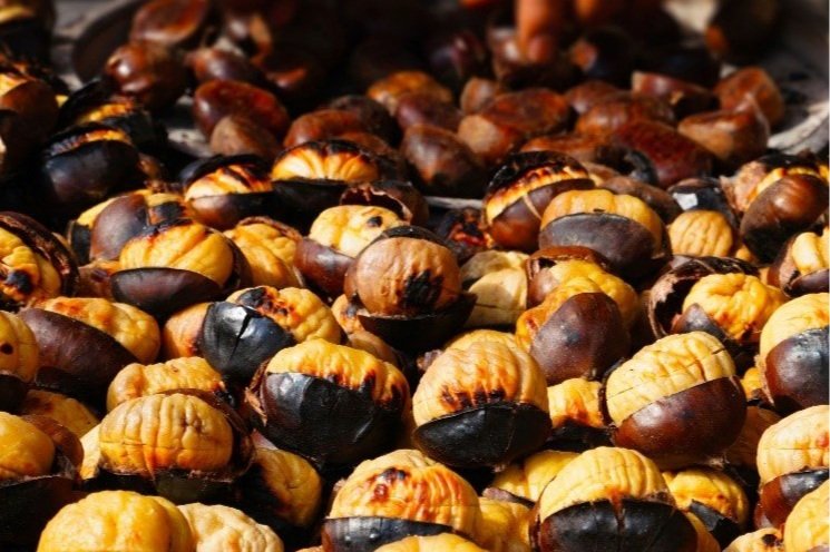 Cracking the Nut: Understanding US Chestnut Production in a Global ...