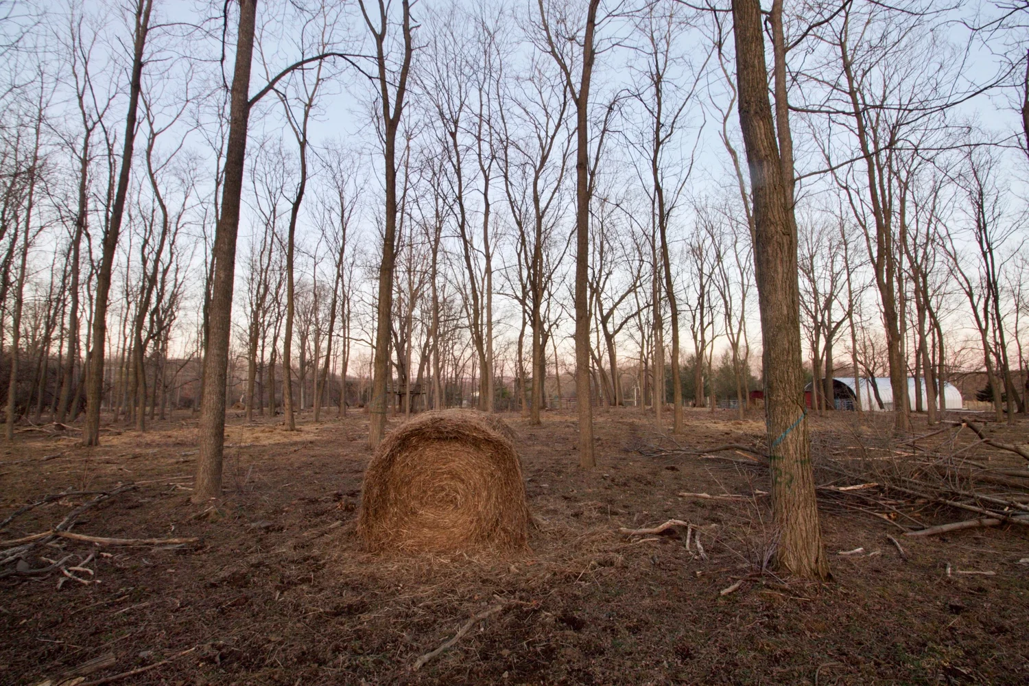 Case Study: Impact Investing with Black Locust — Propagate