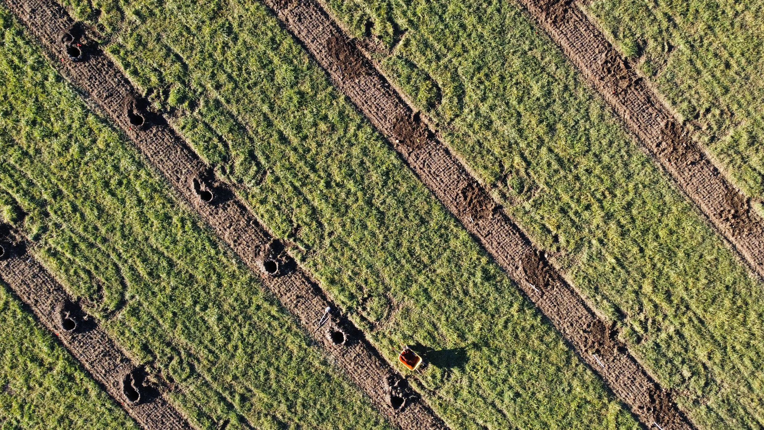 Site Prep & Equipment for Agroforestry — Propagate