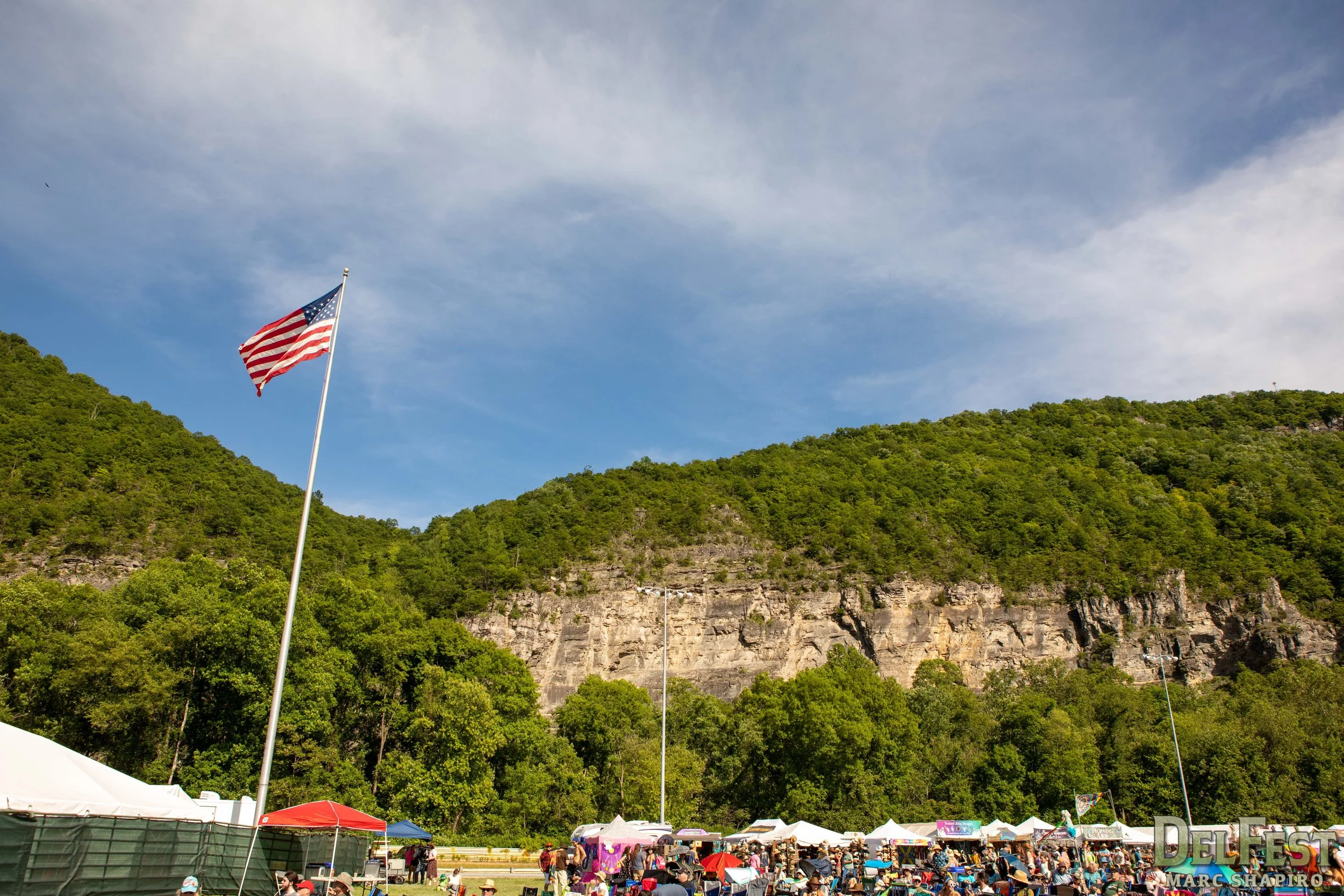 About DelFest — DelFest