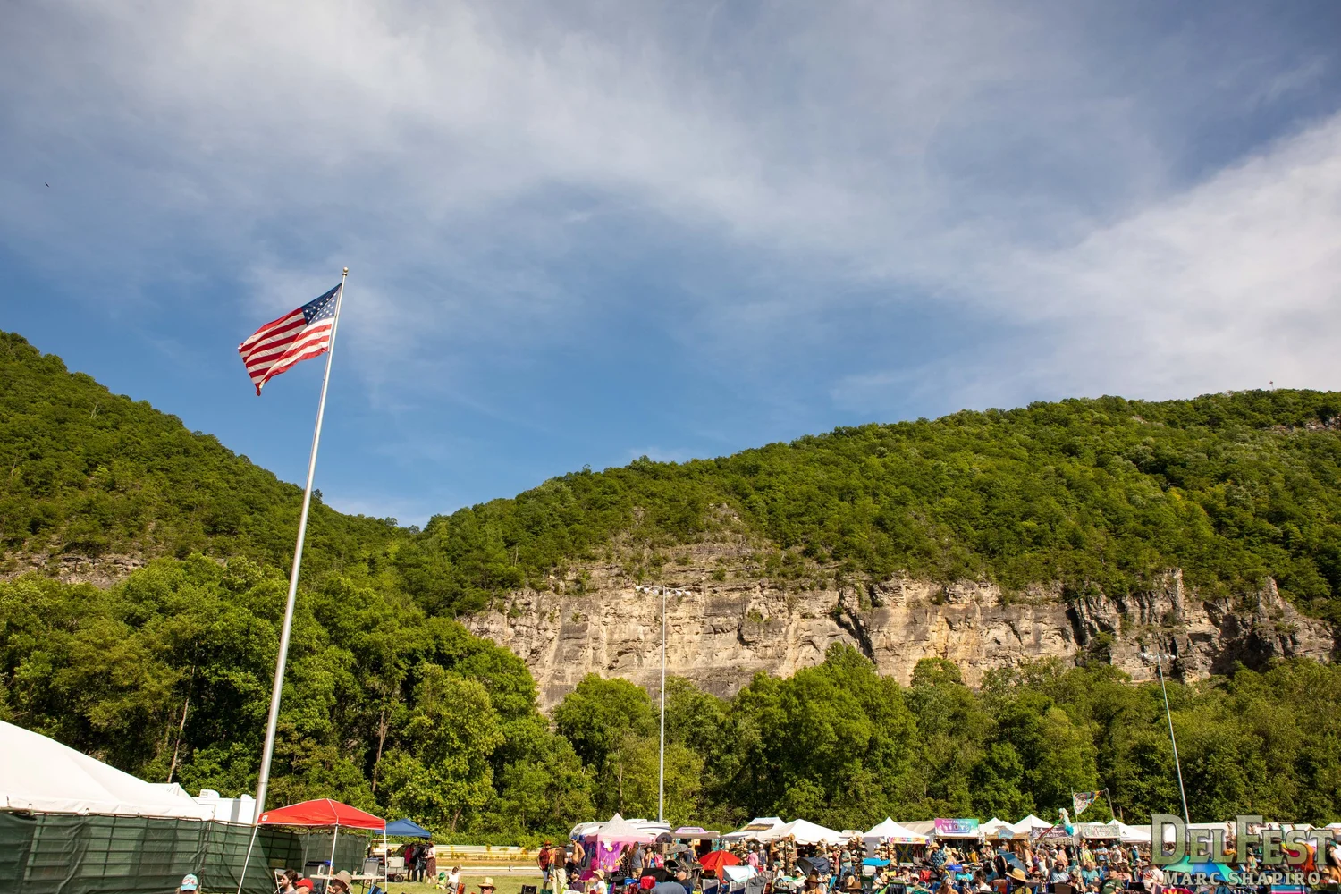 About DelFest — DelFest