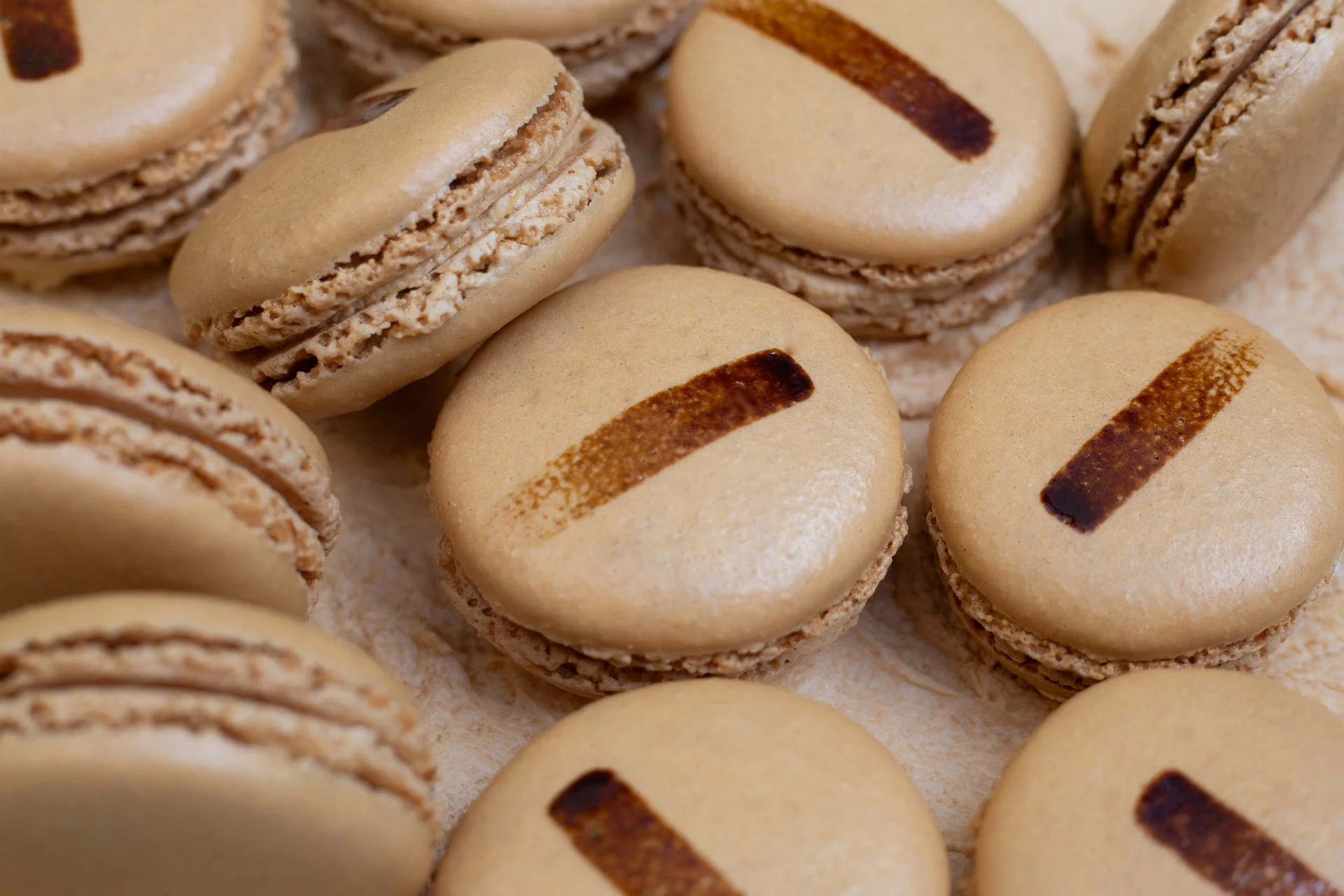 Macaron Day Seattle