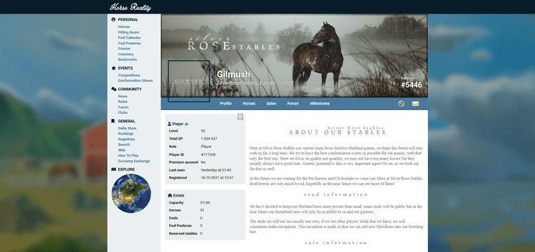 Horse Reality — Studio Deloryan