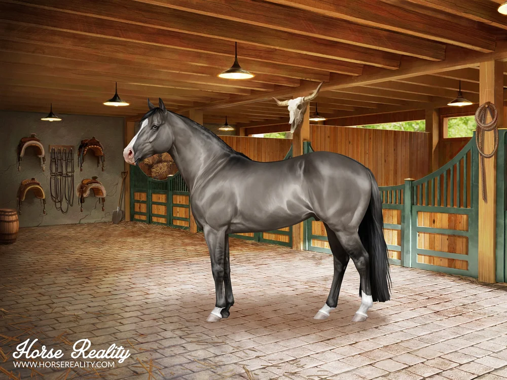 Horse Reality — Studio Deloryan