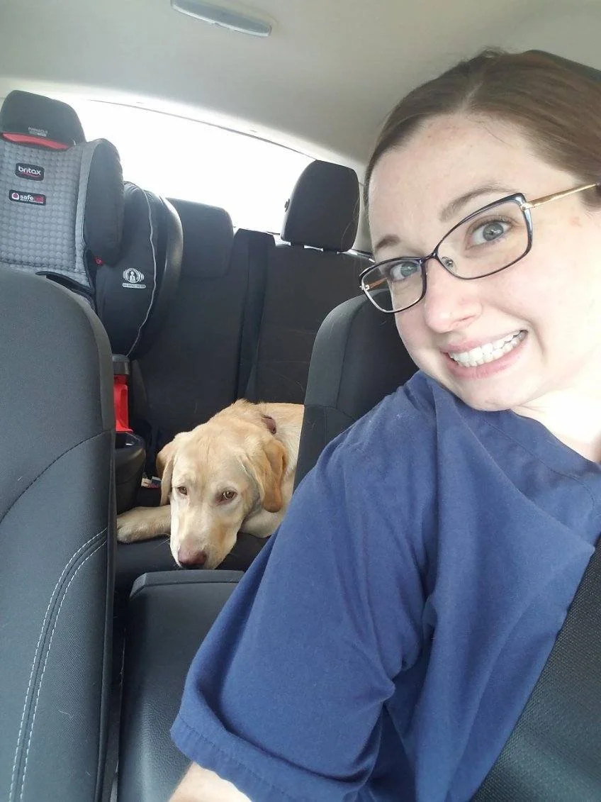 Hampton Roads Veterinary Procedures Center