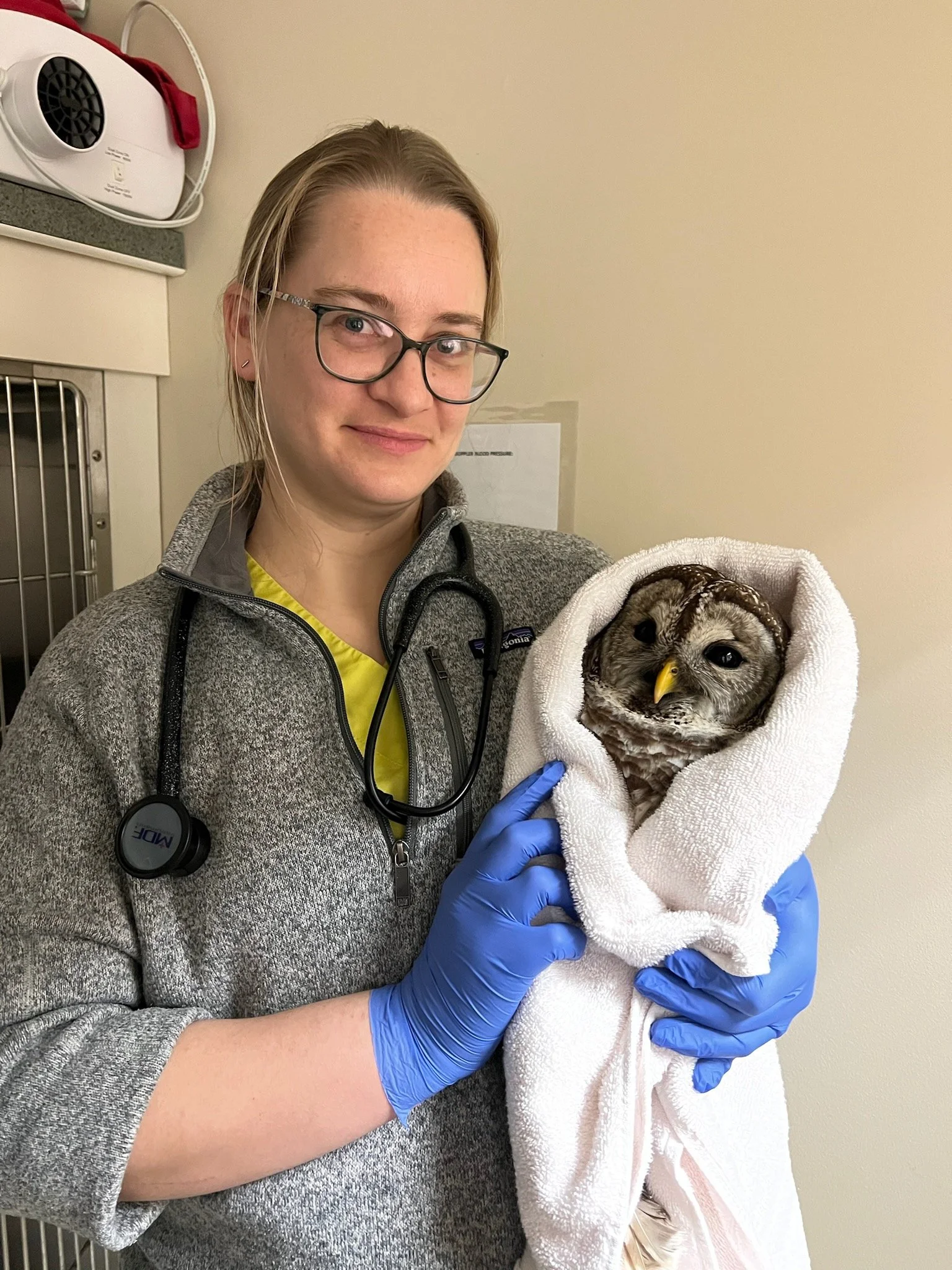 Hampton Roads Veterinary Procedures Center