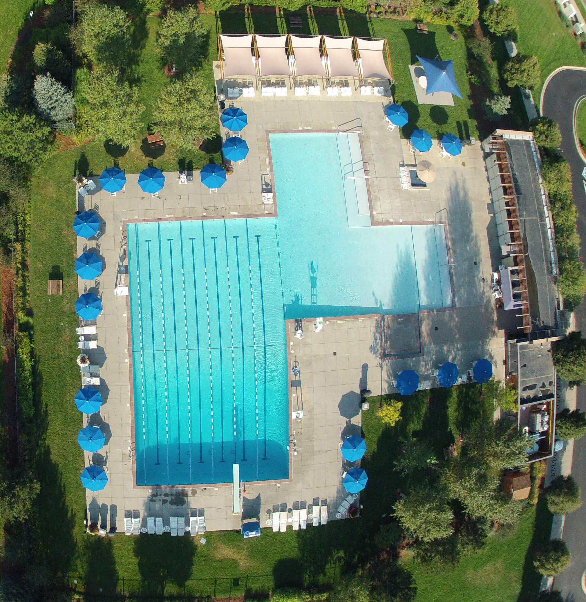 Aviator Pool — Central Park MCA