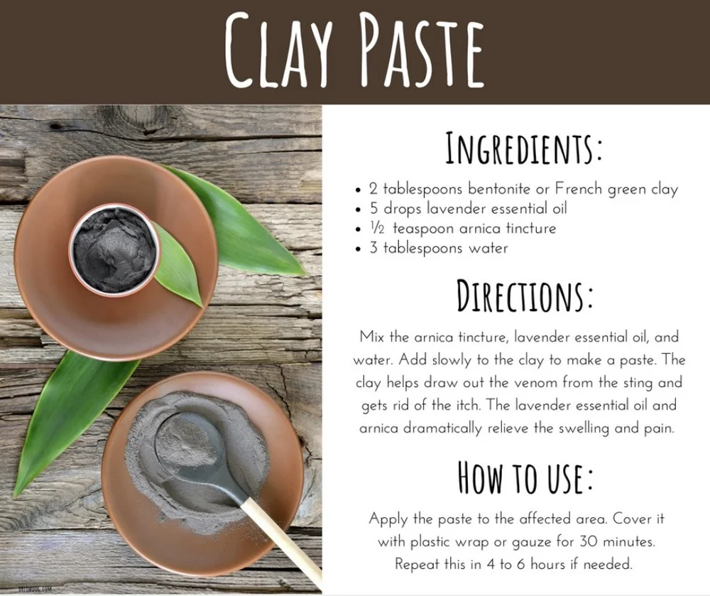 Recipe: Clay Paste — Tieraona Low Dog, MD