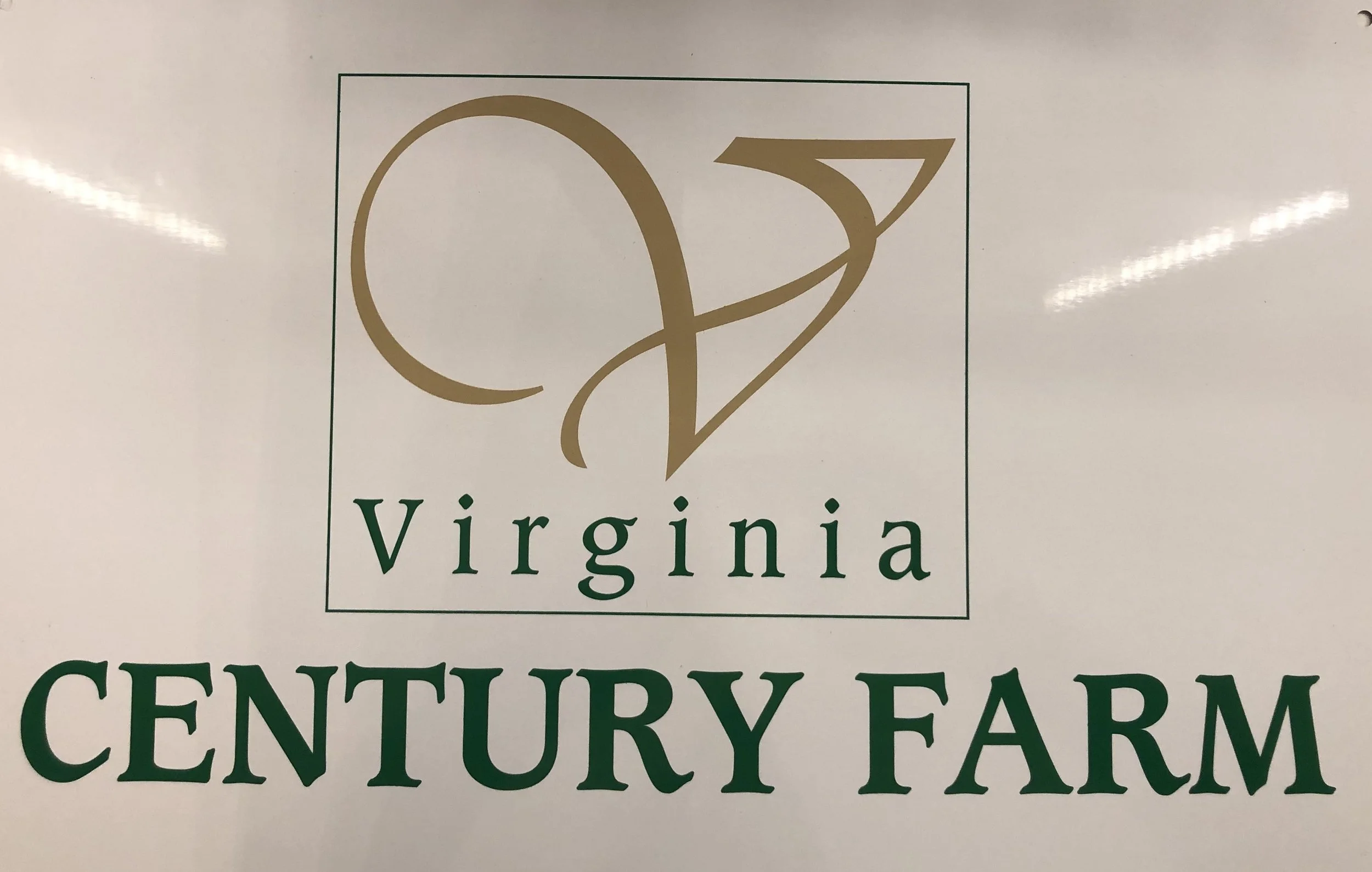 Sustainable Farming | Discover Ethical Excellence — Back Creek Wagyu