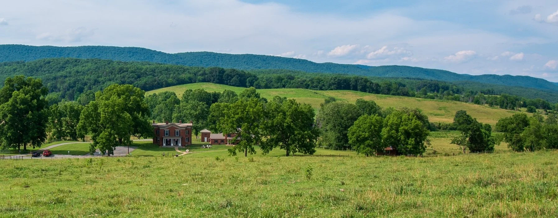 Wagyu Categories Explained — Back Creek Wagyu