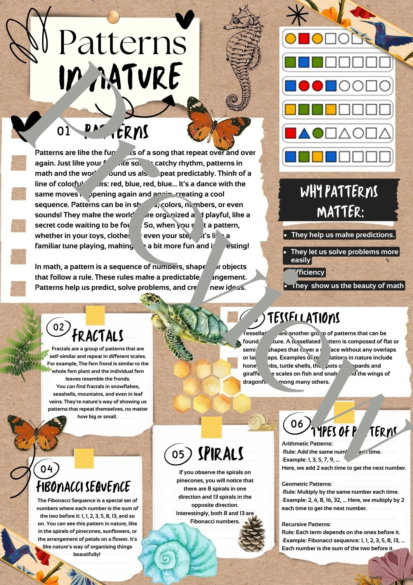 Patterns in Nature Information Sheet — enrichEd education