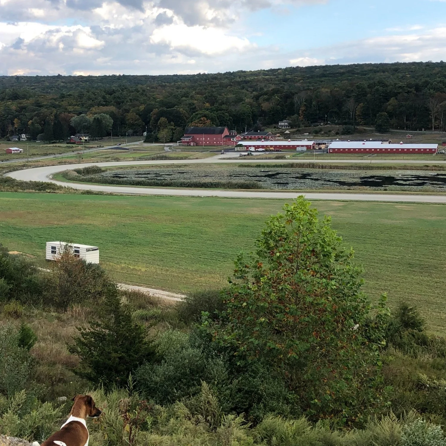 Big Z Equine Training Center