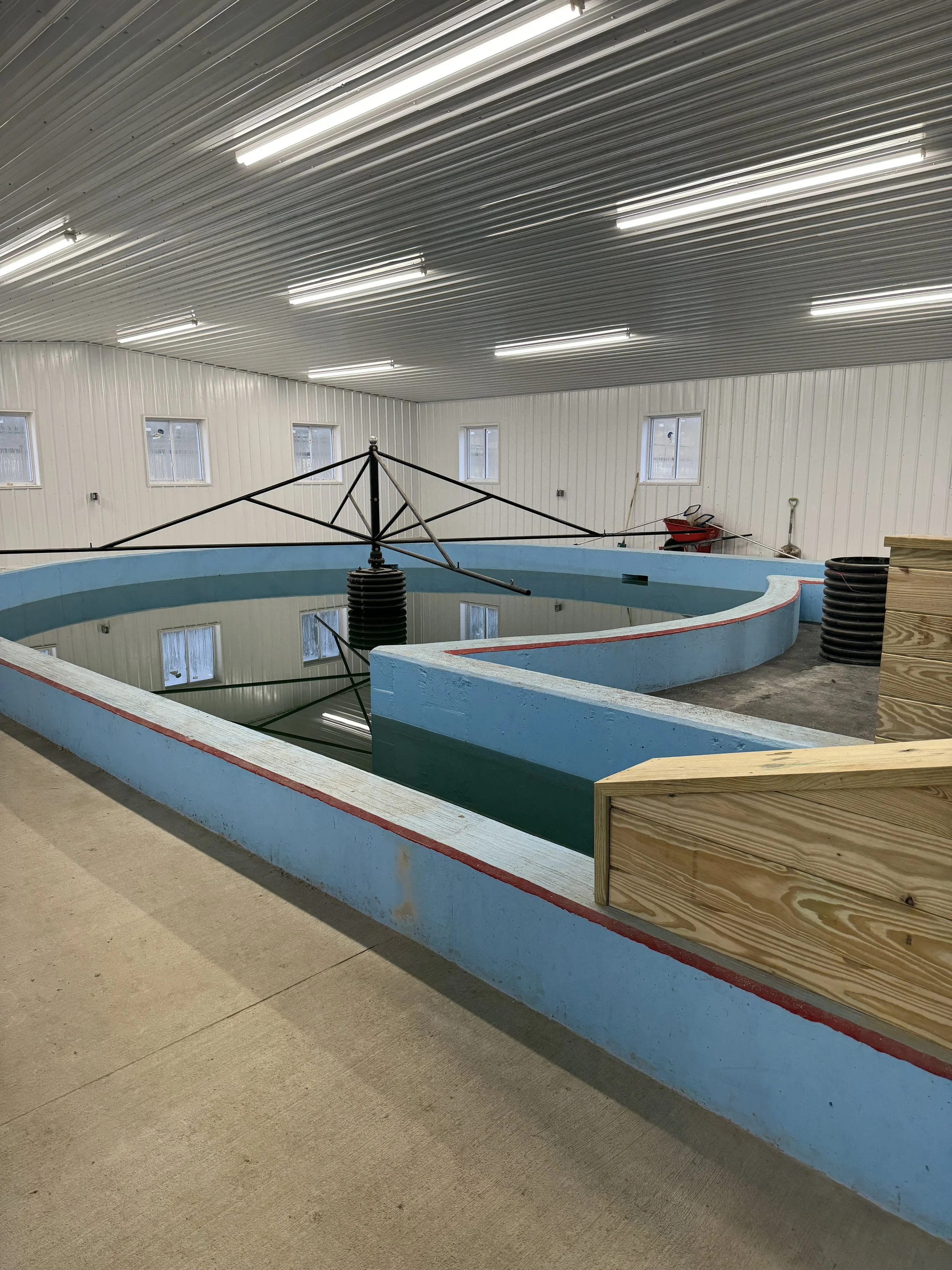 Services — Big Z Equine