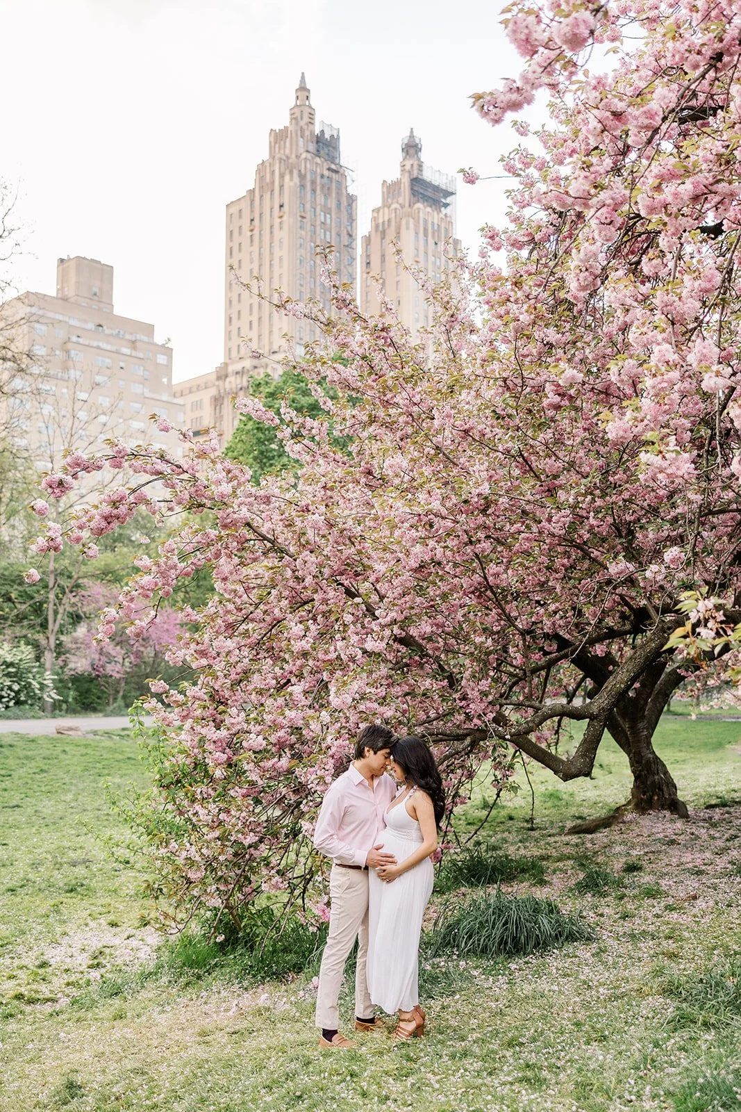 Central Park Cherry Blossom Maternity — NYC Wedding Photographer ...
