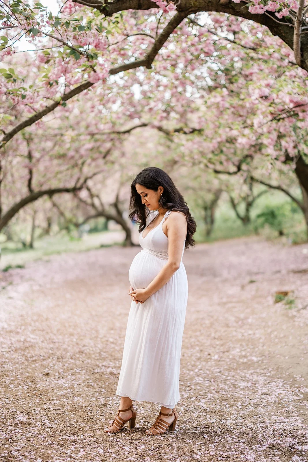 Central Park Cherry Blossom Maternity — NYC Wedding Photographer ...