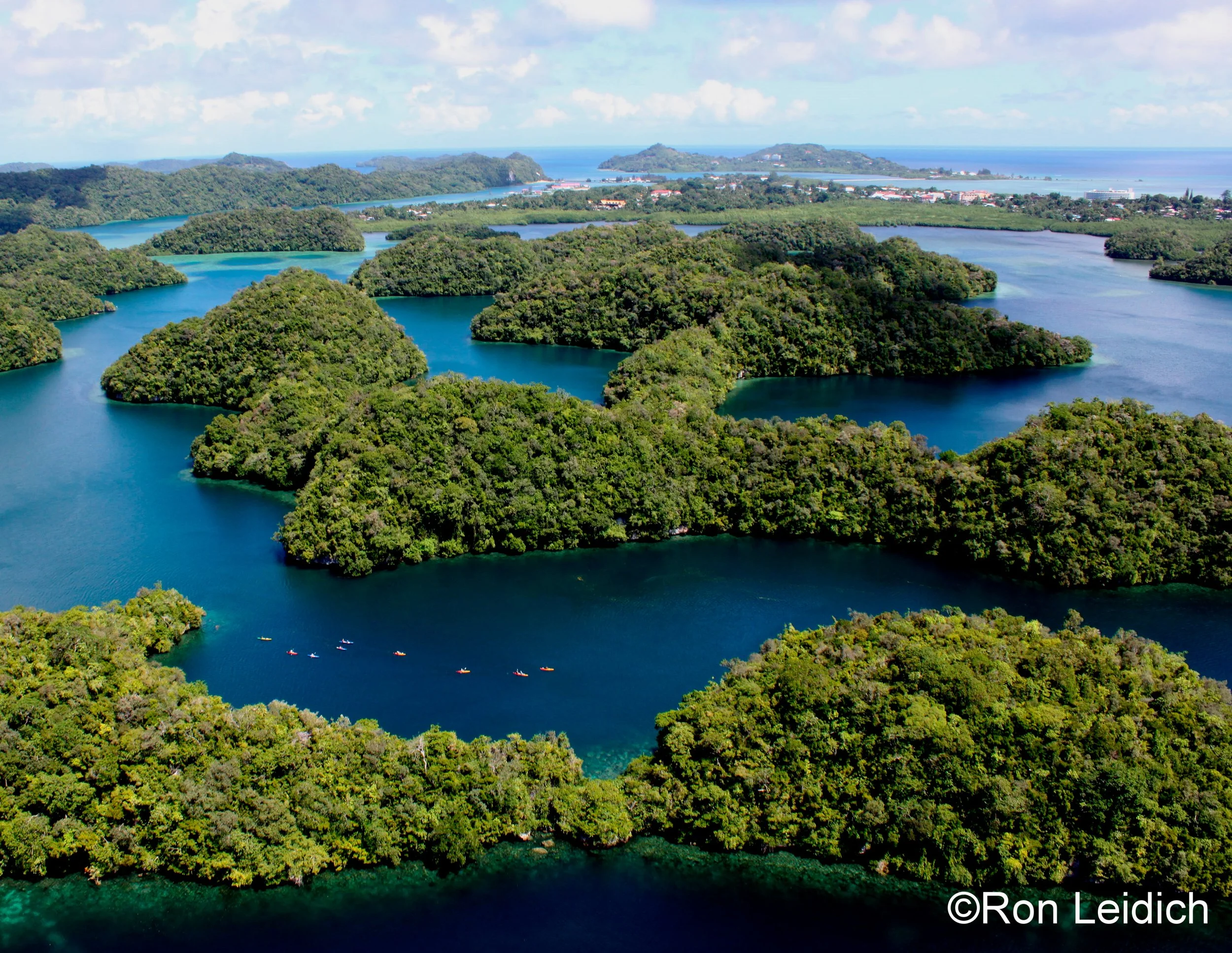 Paddle Palau — Living Blue Travel Co.