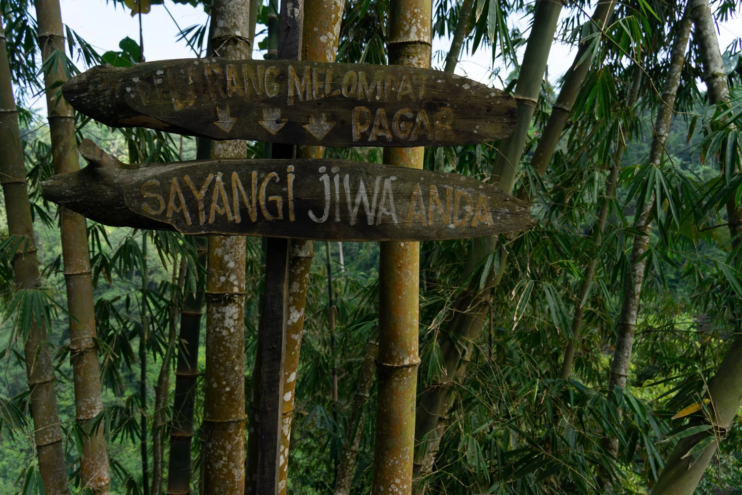 East Java Itinerary 2026: Bromo, Ijen, Tumpak Sewu & More — Let's go beyond