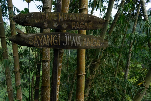 East Java Travel Guide: Explore Breathtaking Volcanoes, Waterfalls ...