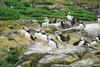 SEAHOUSES VISITOR GUIDE — Mosey Travel