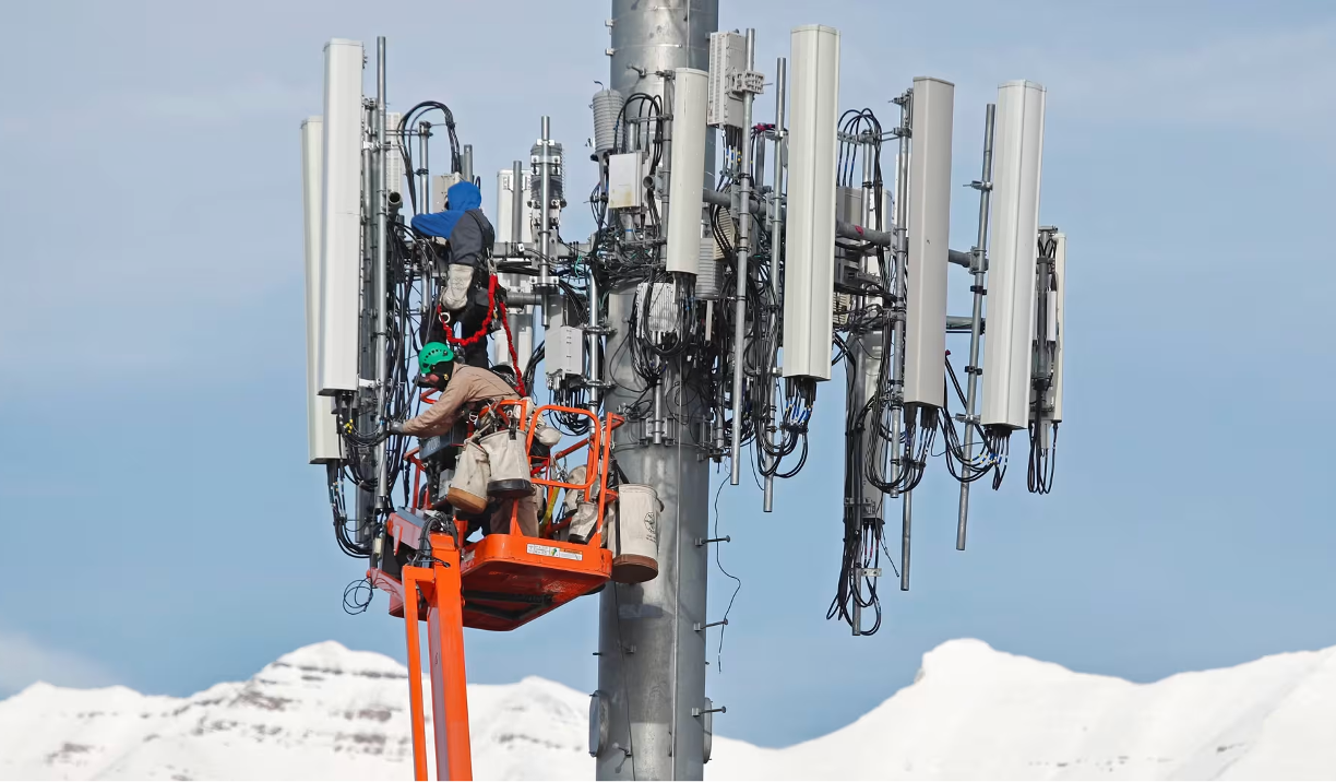 Universal Network Services