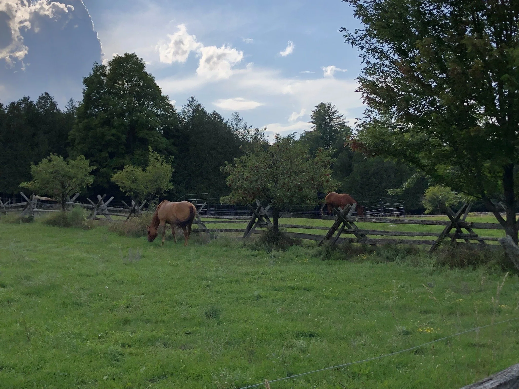 Maplestone Ranch & Retreat