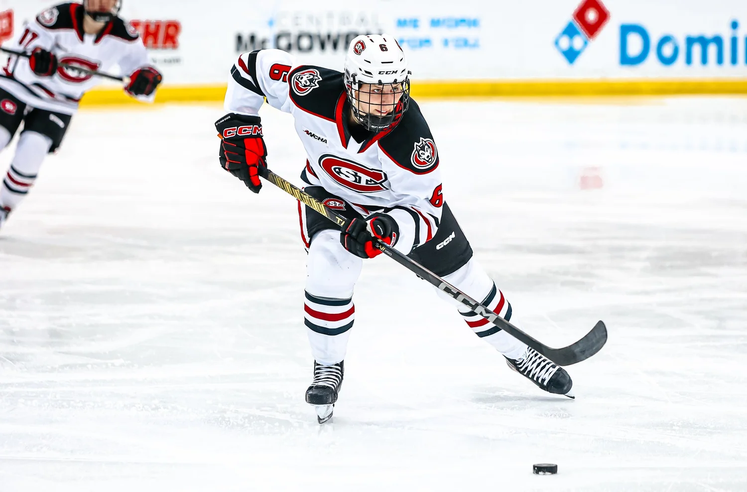St. Cloud State Women's Hockey