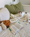 10 Cozy Activities for the rest of Spring — Cozy K