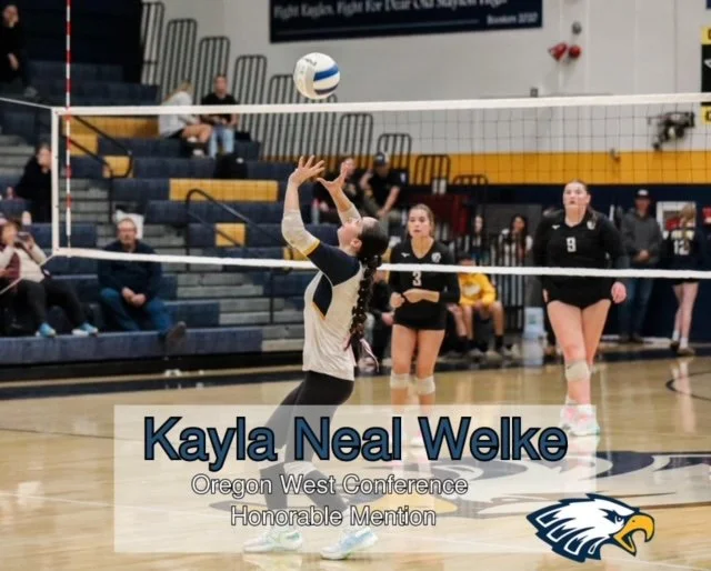 LevelOne Volleyball