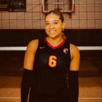 LevelOne Volleyball