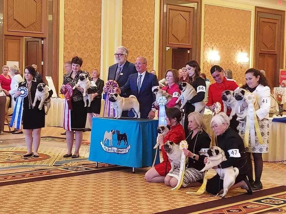 Services — Pug Dog Club of America