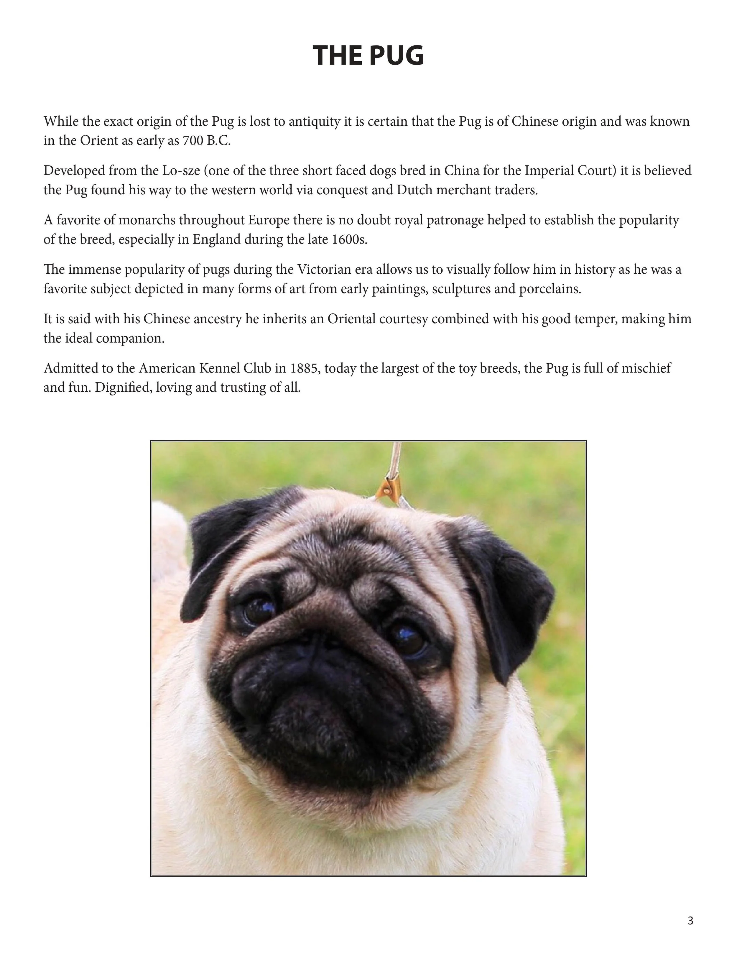 Gallery 1 — Pug Dog Club of America