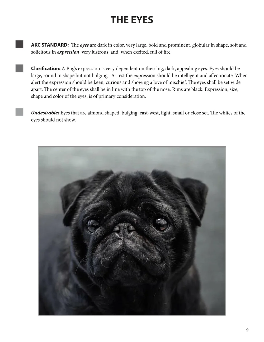 Gallery 1 — Pug Dog Club of America
