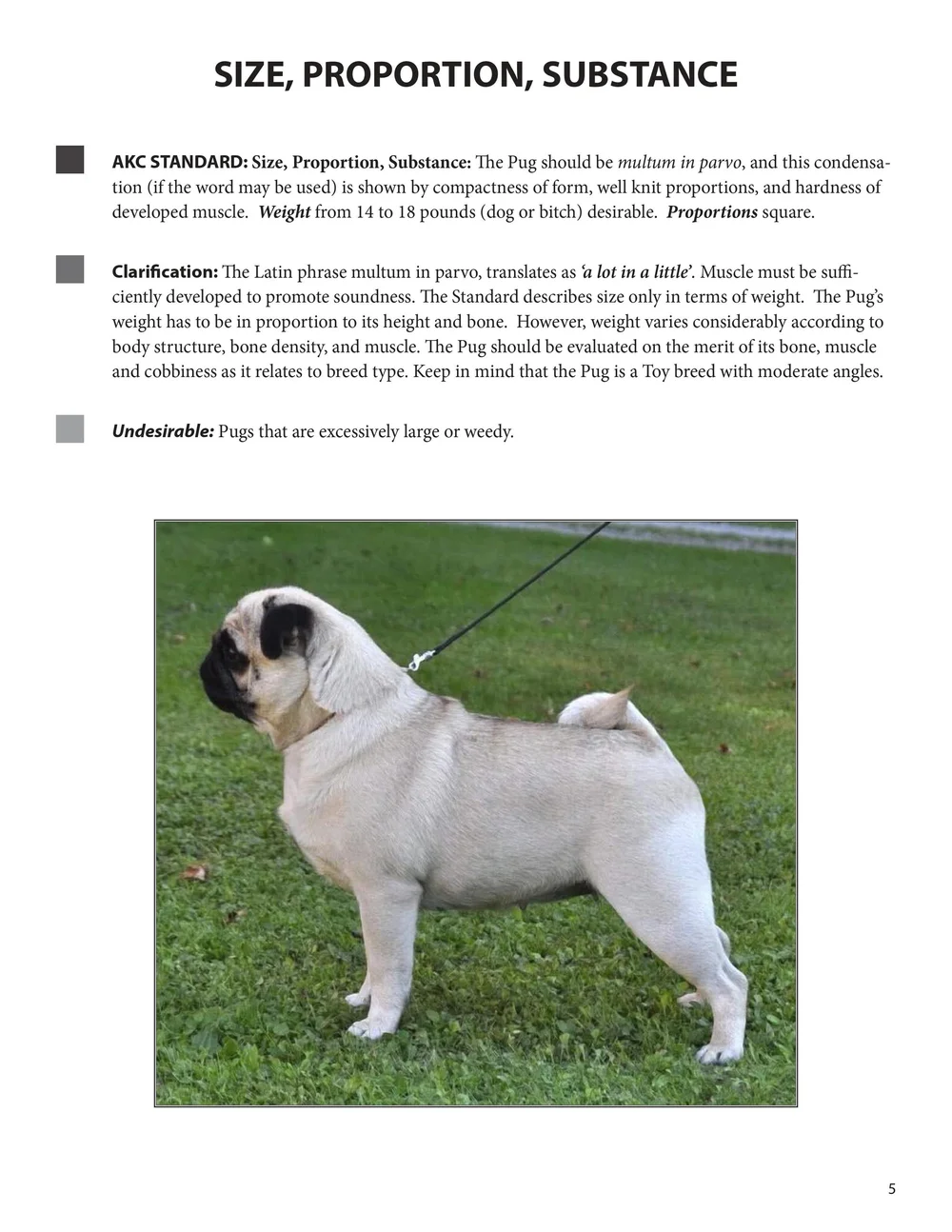 Gallery 1 — Pug Dog Club of America