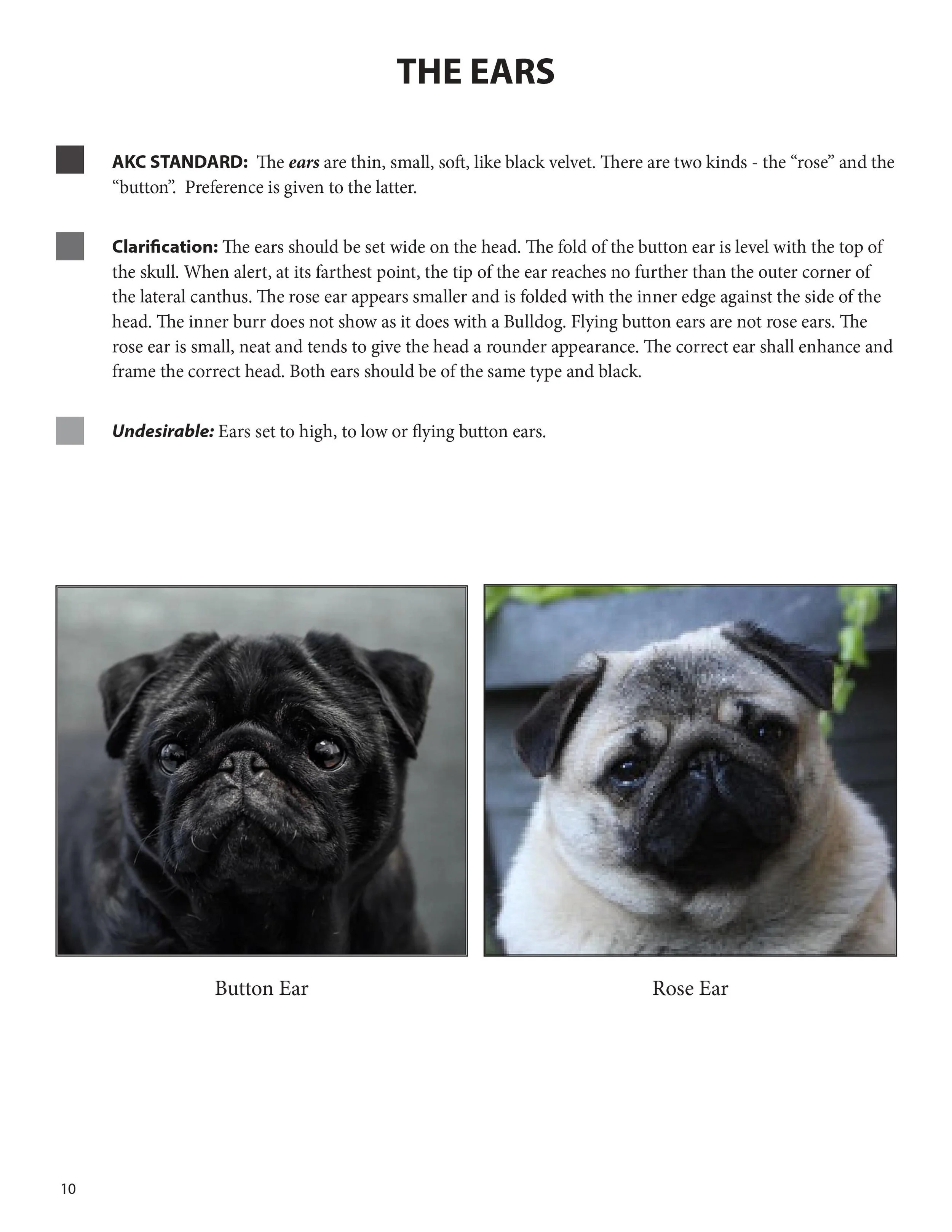 Gallery 1 — Pug Dog Club of America