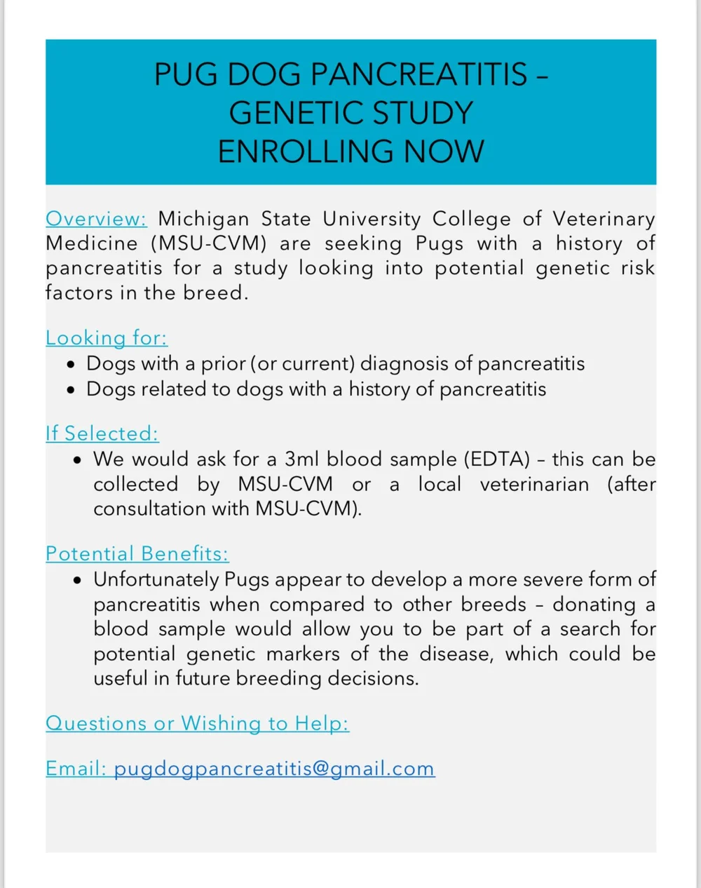 Pug Dog Club of America