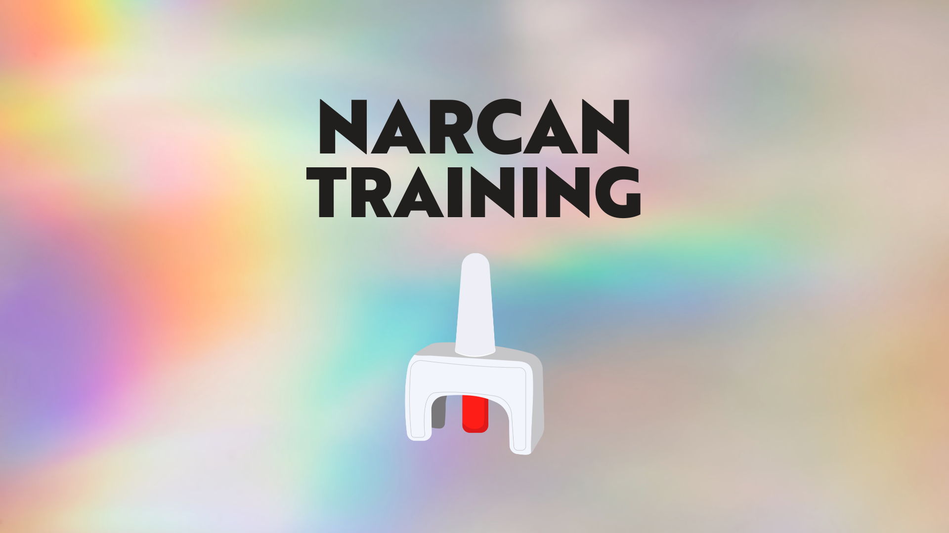 Lower Adirondack Pride