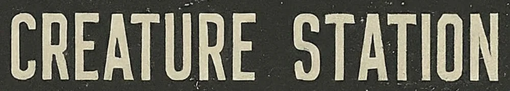 Rhino Rig V1.0 | Enhance Your Animation Skills Today — CREATURE STATION