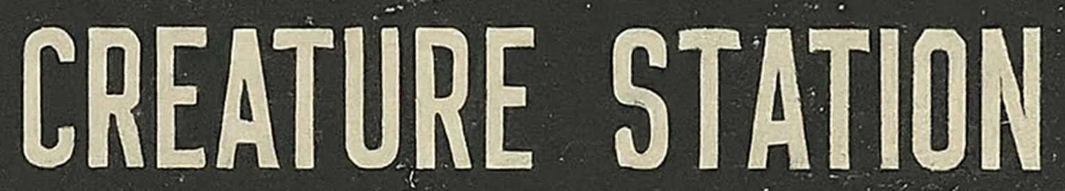 Rhino Rig V1.0 | Enhance Your Animation Skills Today — CREATURE STATION