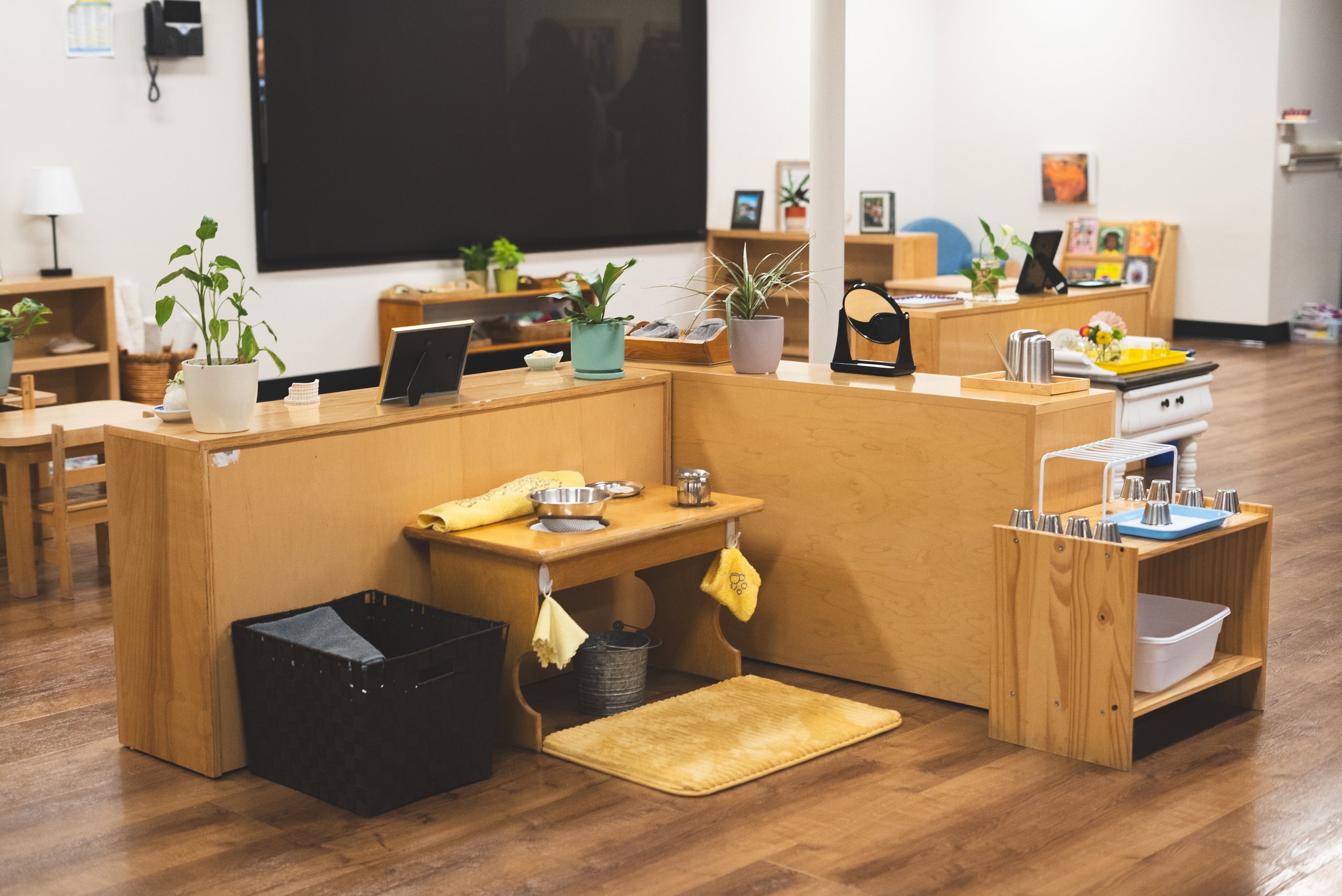 Scholarships — BMEF