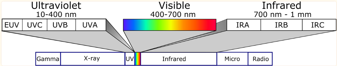 Why sunlight is an essential nutrient: circadian rhythm regulation and ...