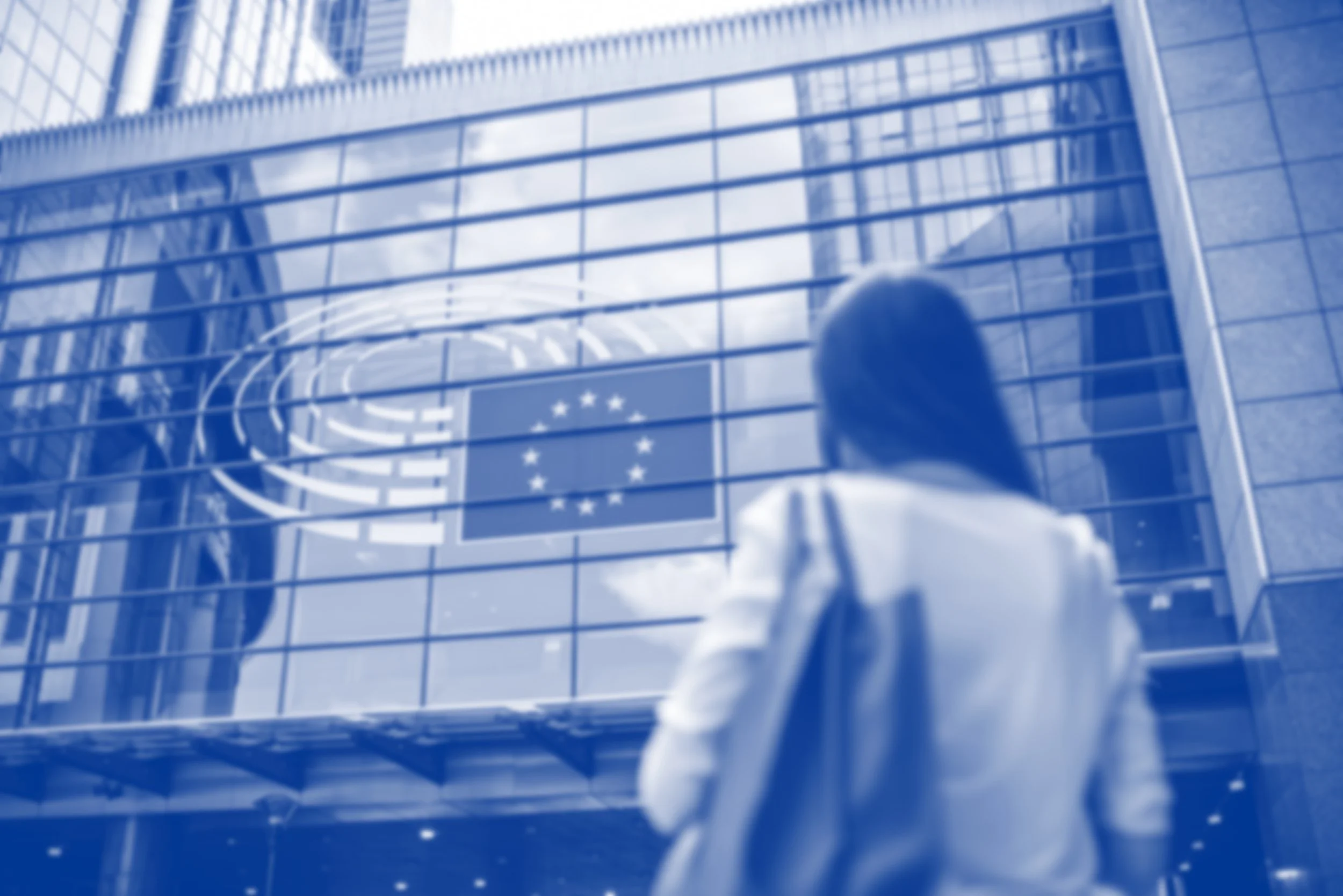 About the EU Values Network | Advancing Democracy, Rule of Law & Human Rights — EU-VALUES