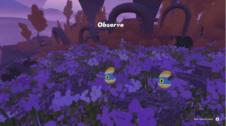 Flock Review: A Cozy Creature Catcher Adventure on The Back of a Bird ...