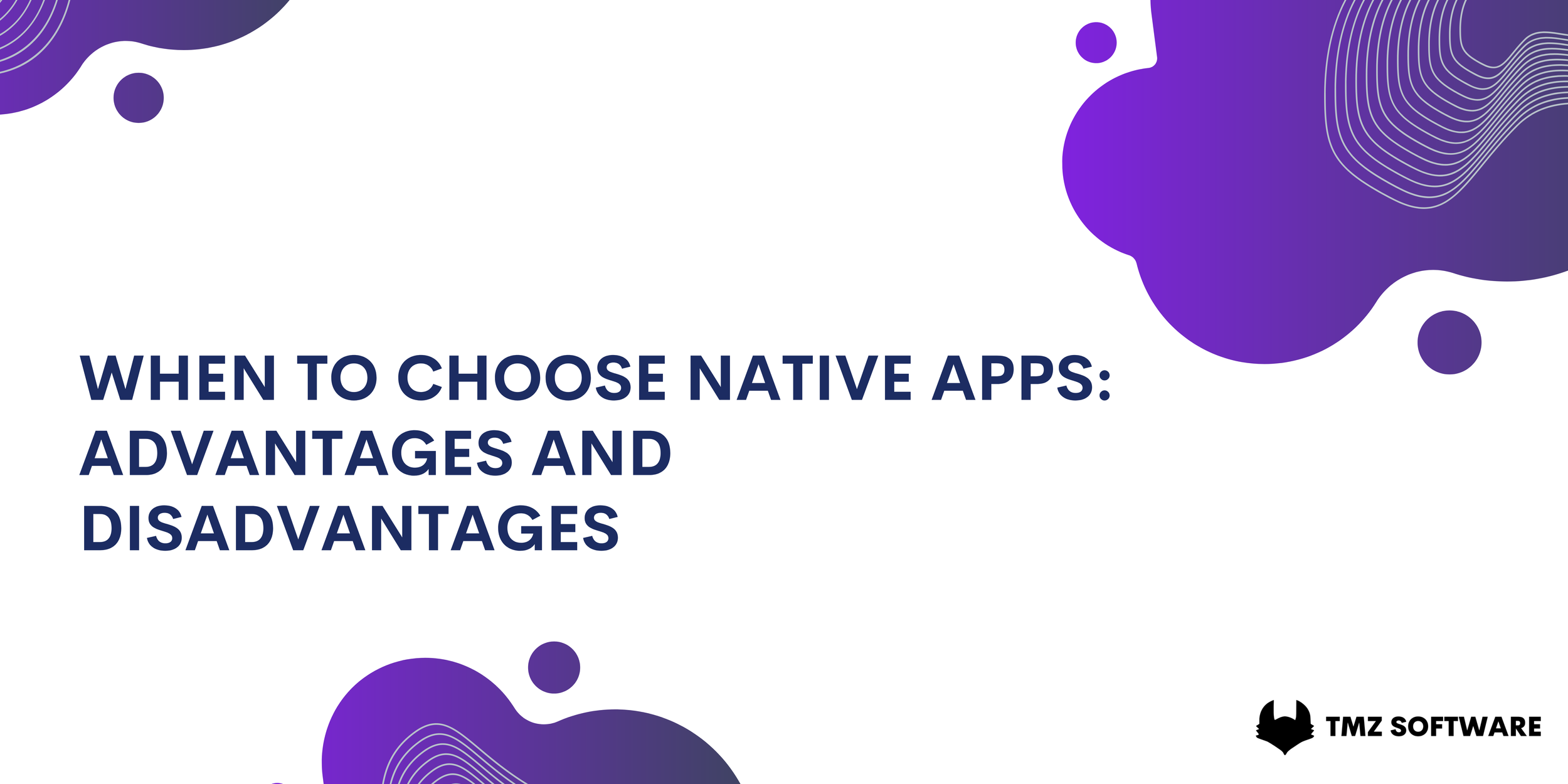 When to choose Native Apps: Advantages and disadvantages — TMZ Software