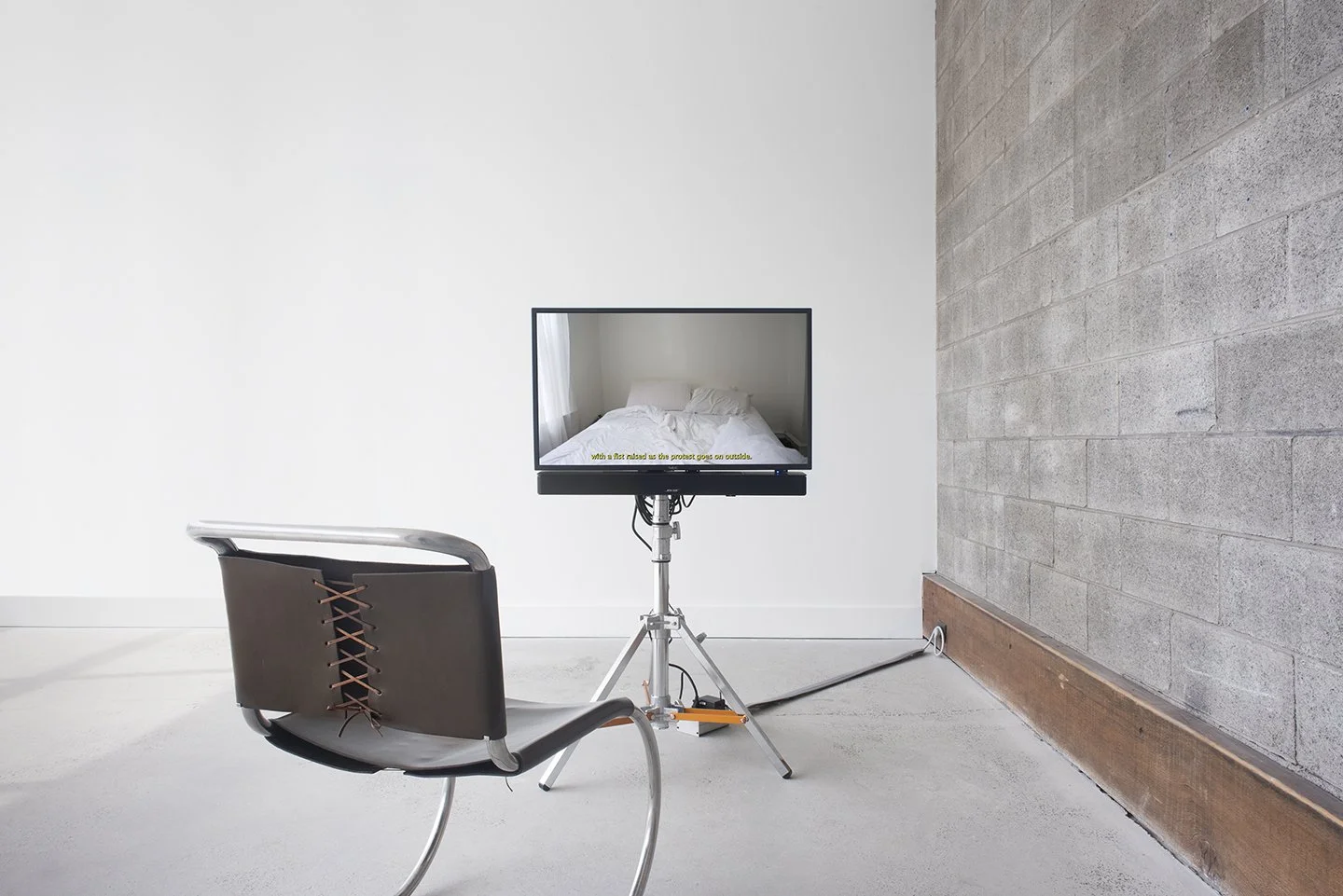 Offerings to Bob Flanagan — mae howard