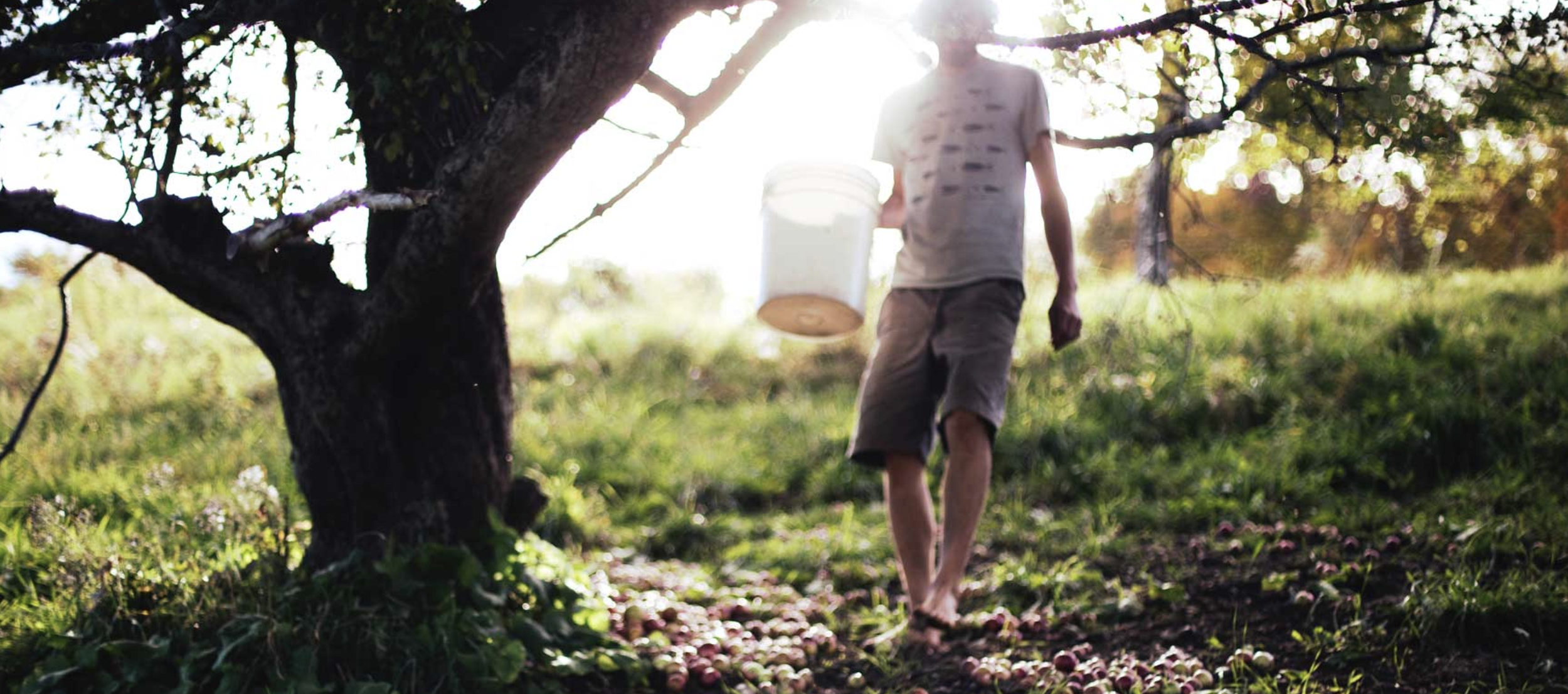 fable farm | Discover and Experience Vermont Wines