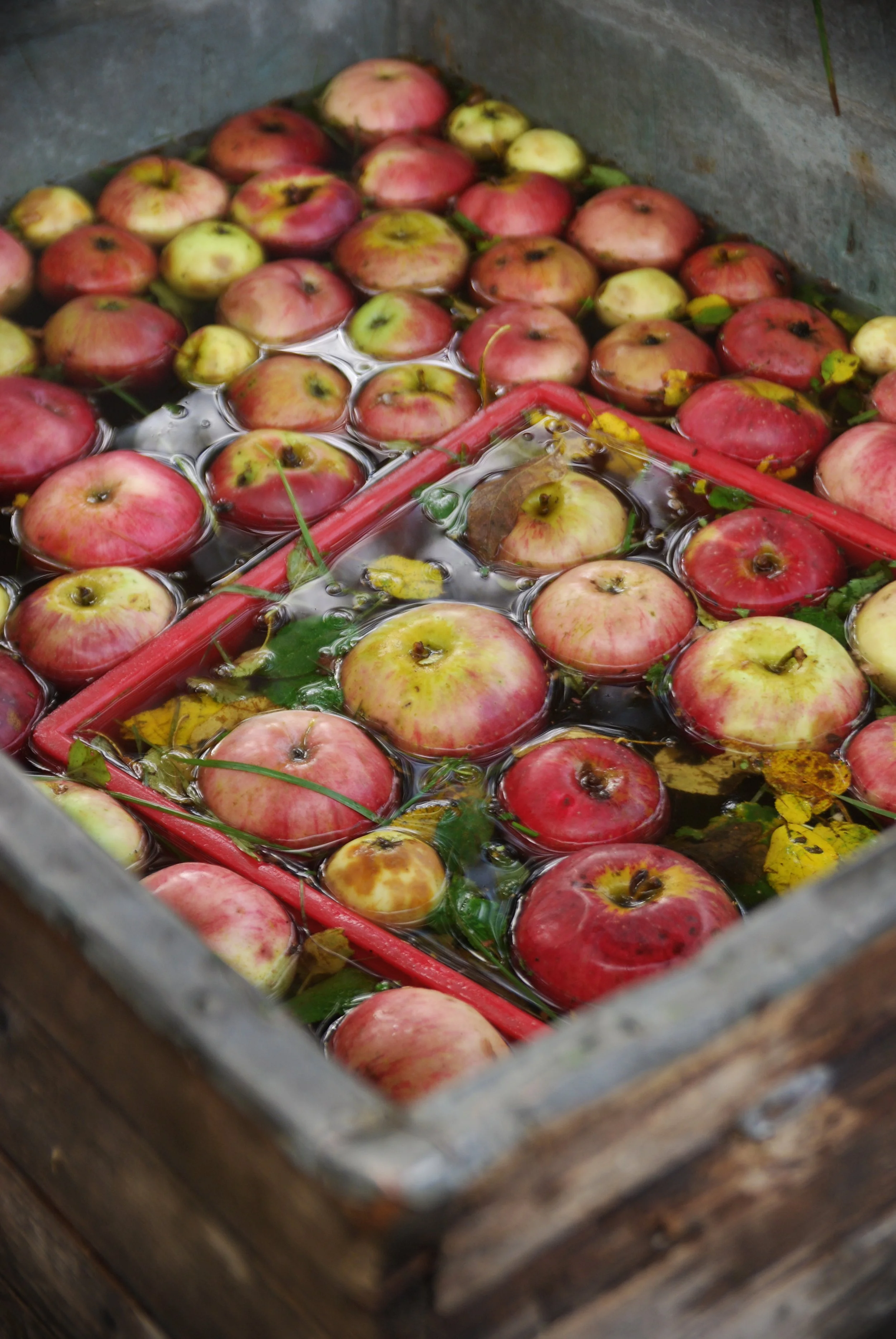 about fable farm fermentory — fable farm