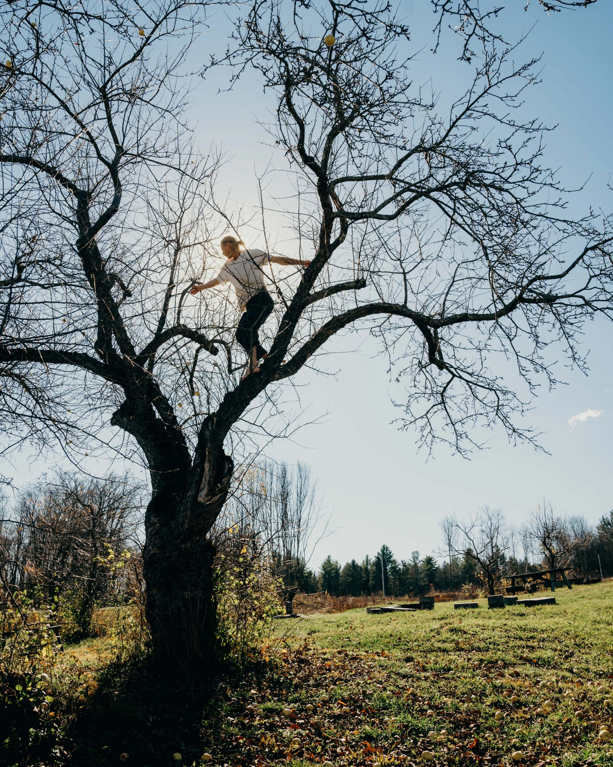 fable farm | Discover and Experience Vermont Wines