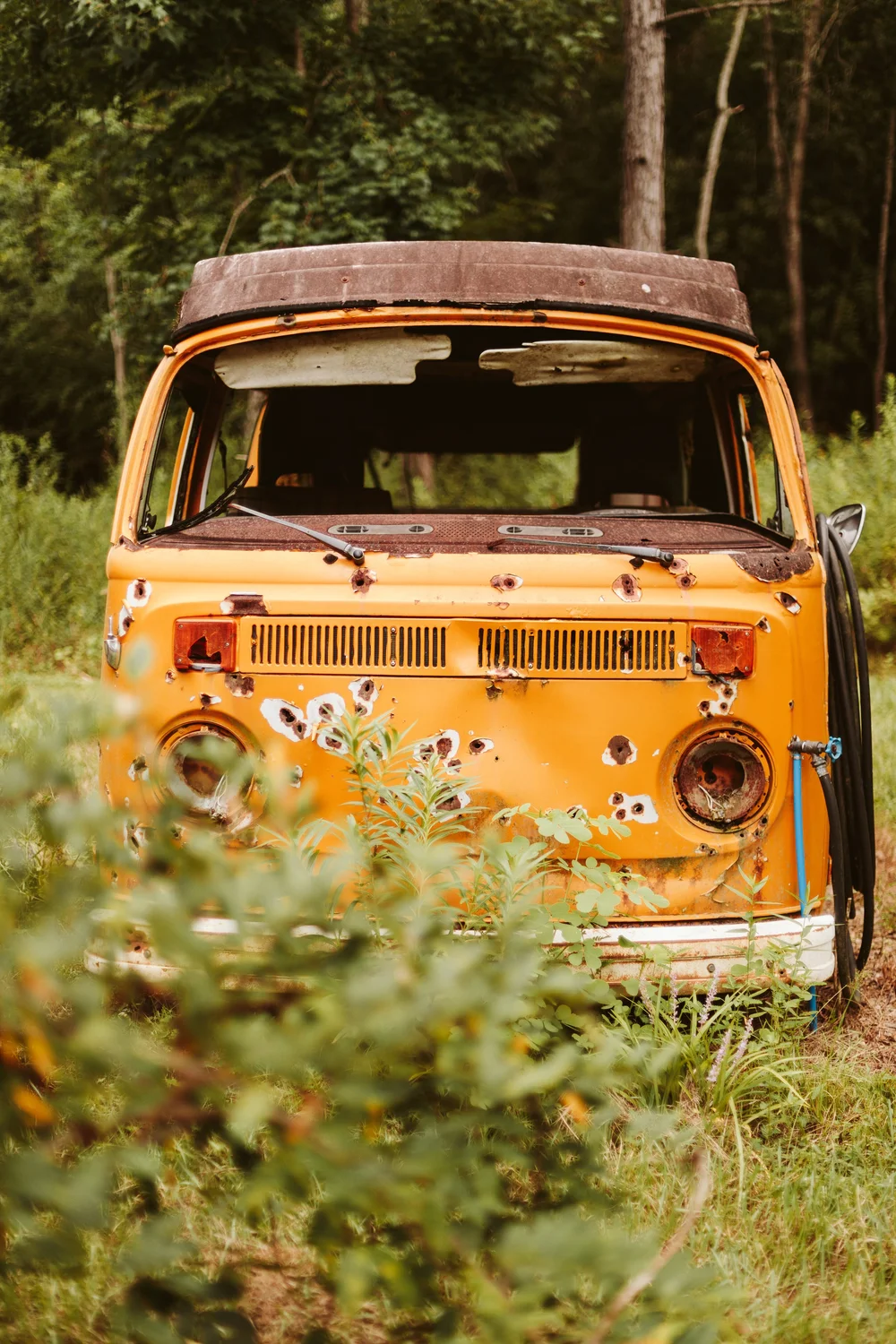 Yellow Van Farms