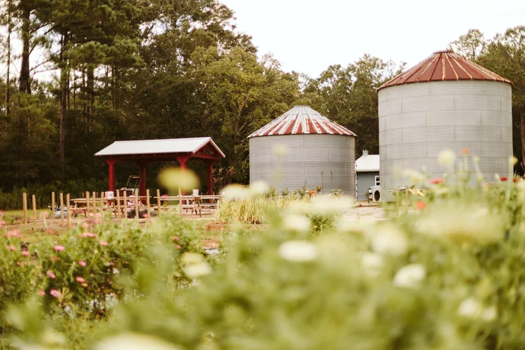 Yellow Van Farms